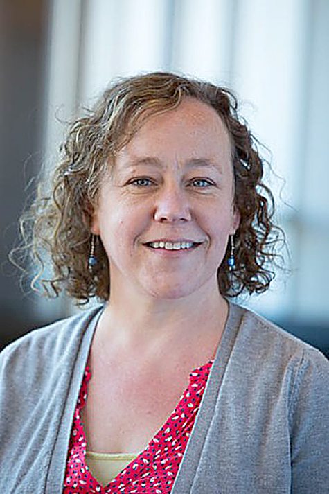 Seeing change in our forests | News, Sports, Jobs - The Express